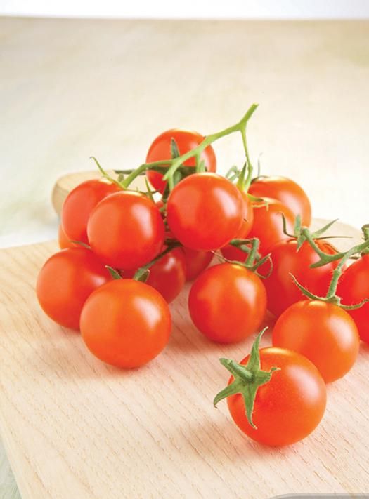 Tomato Tiny Tim | Garden Seeds Yates Australia