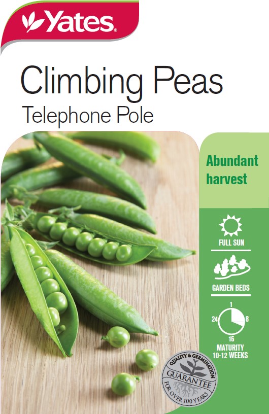 How to Grow Peas & Snow Peas | Yates Australia