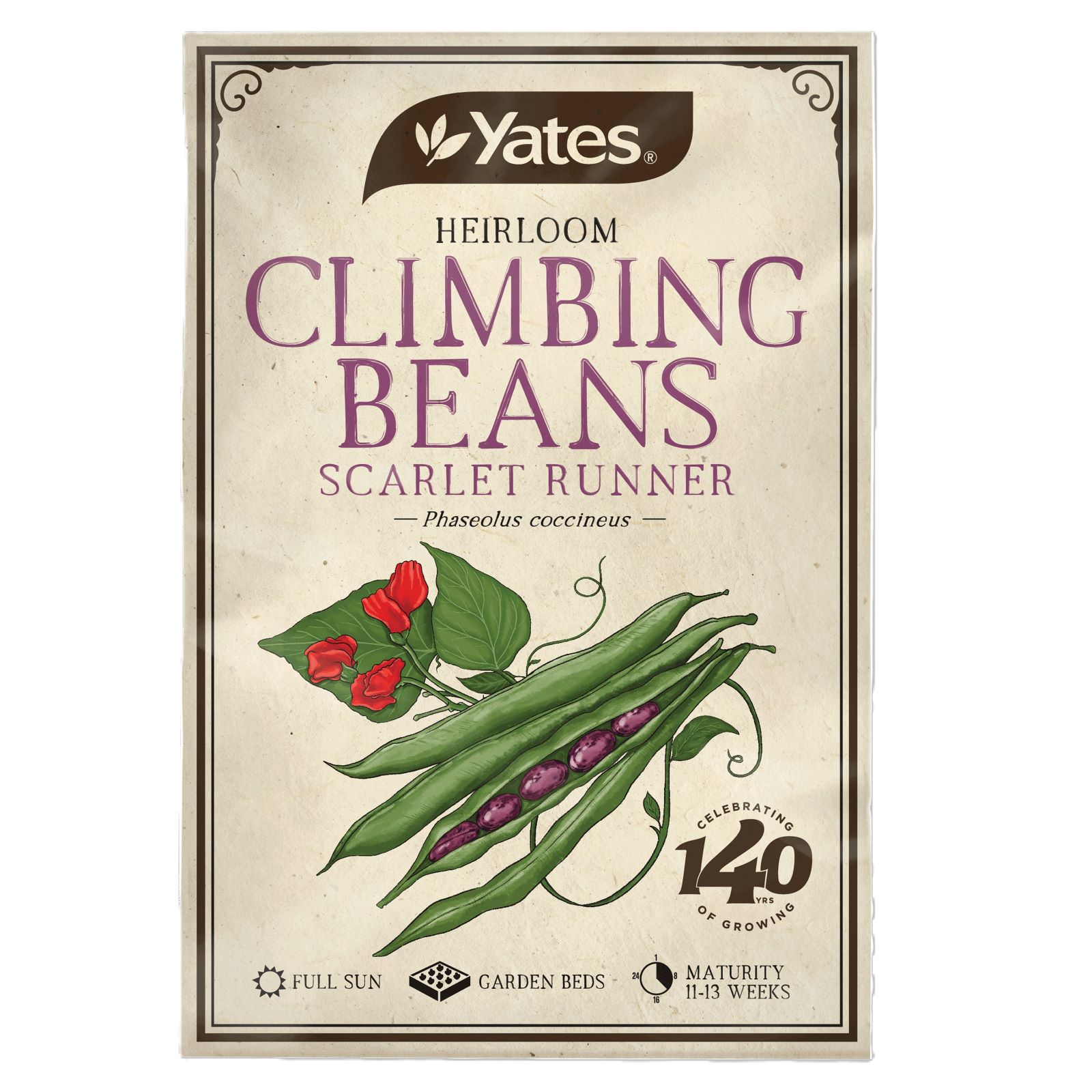 Heirloom Beans Climbing Scarlet Runner Seeds