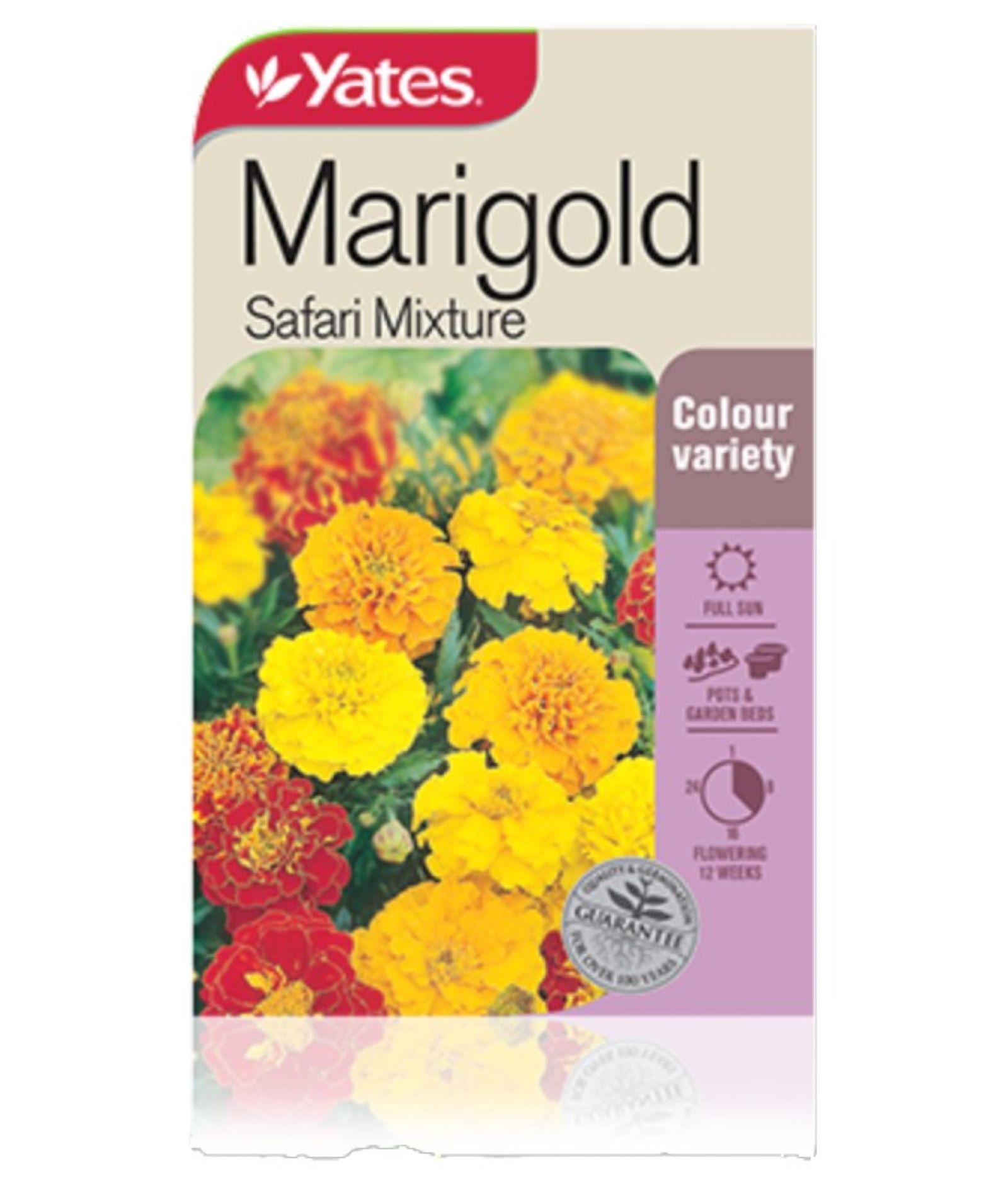 Marigold Safari Mixture | Garden Seeds Yates Australia
