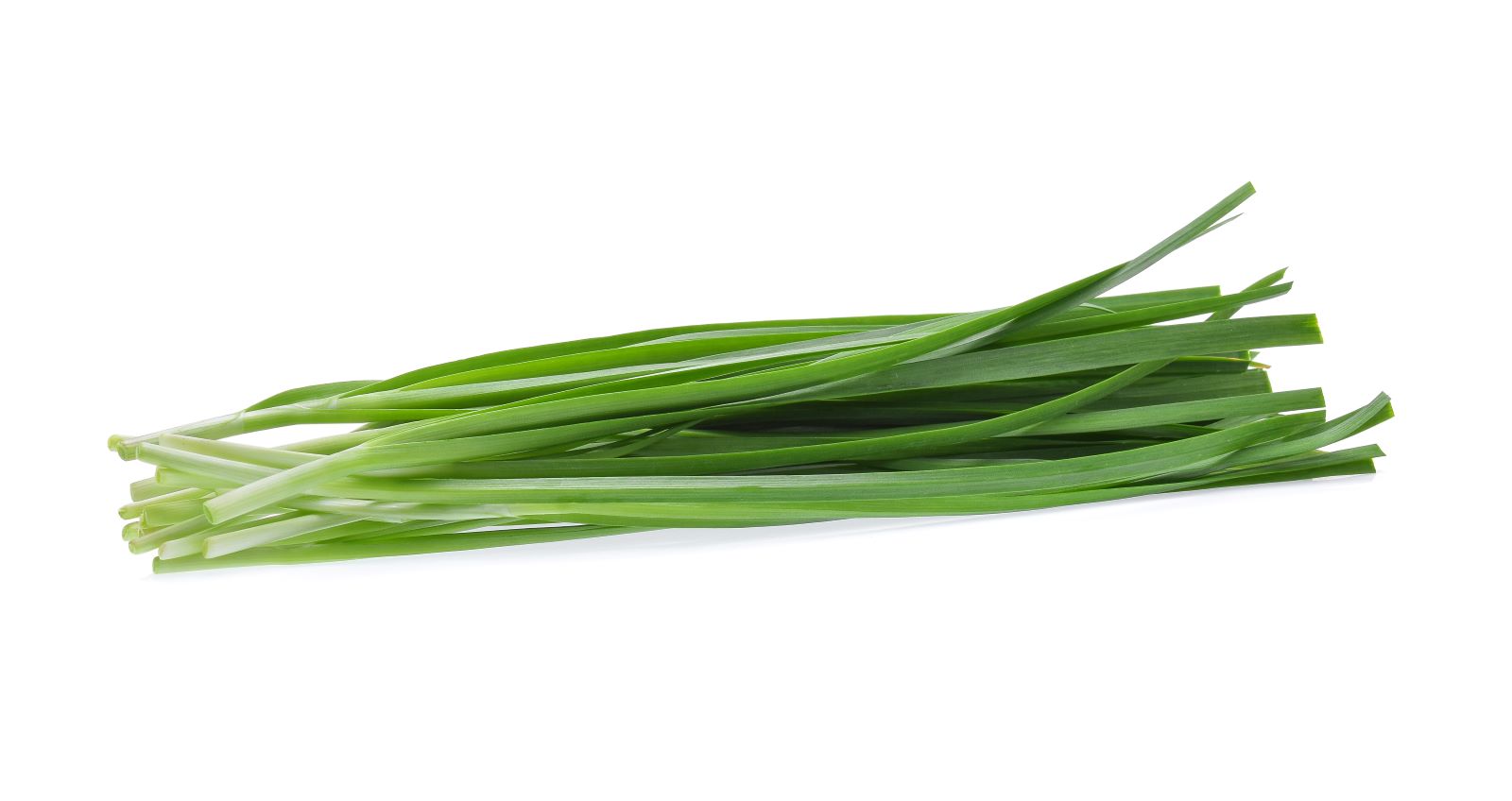 Chives | Garden Seeds Yates Australia