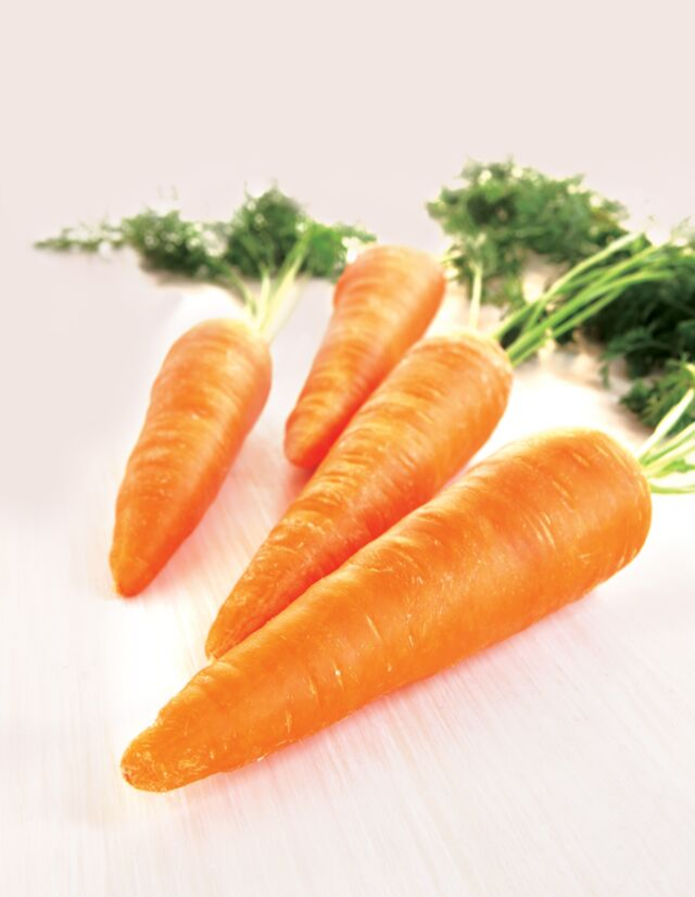 Carrot All Seasons Seeds | Garden Seeds | Yates Australia